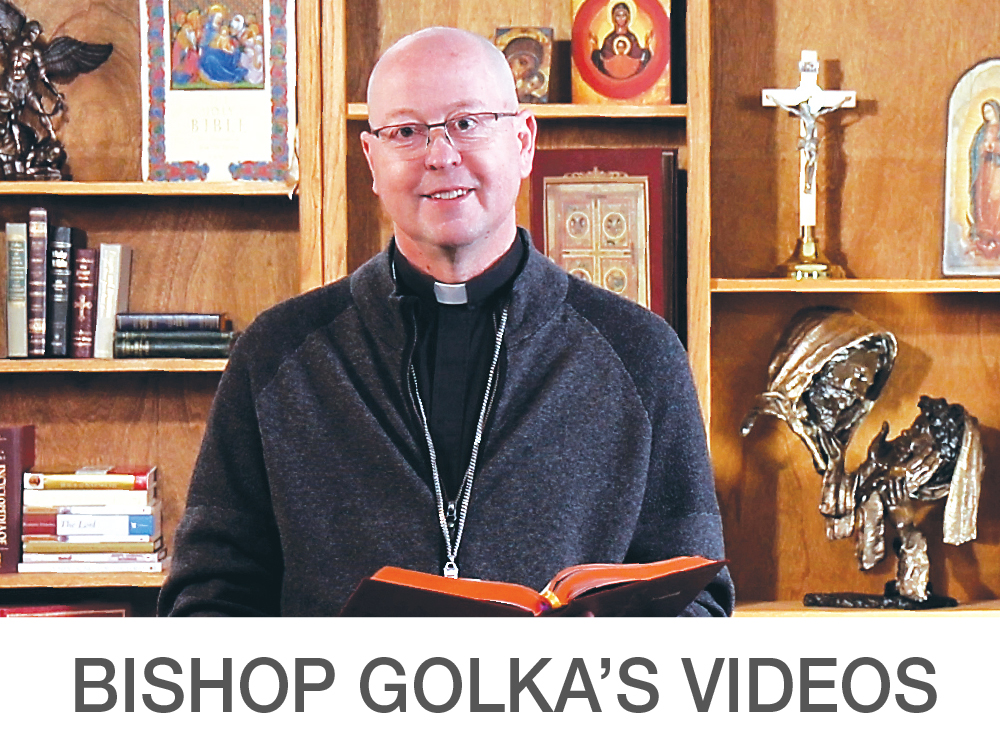 Bishop Golka offers weekly video reflections that can be seen on YouTube