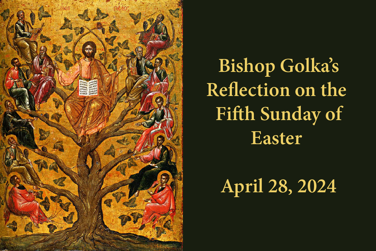 Bishop Golka's Reflection on the Fifth Sunday of Easter