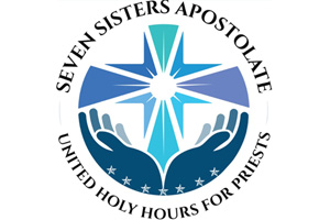 No Shepherd Left Behind: Seven Sisters Apostolate seeks to cover every ...